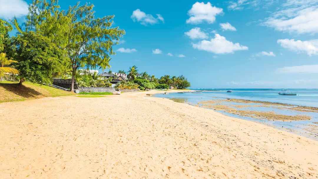 For sale House Bain Boeuf - 620 m² - 9 bedrooms - Rs25,000,000